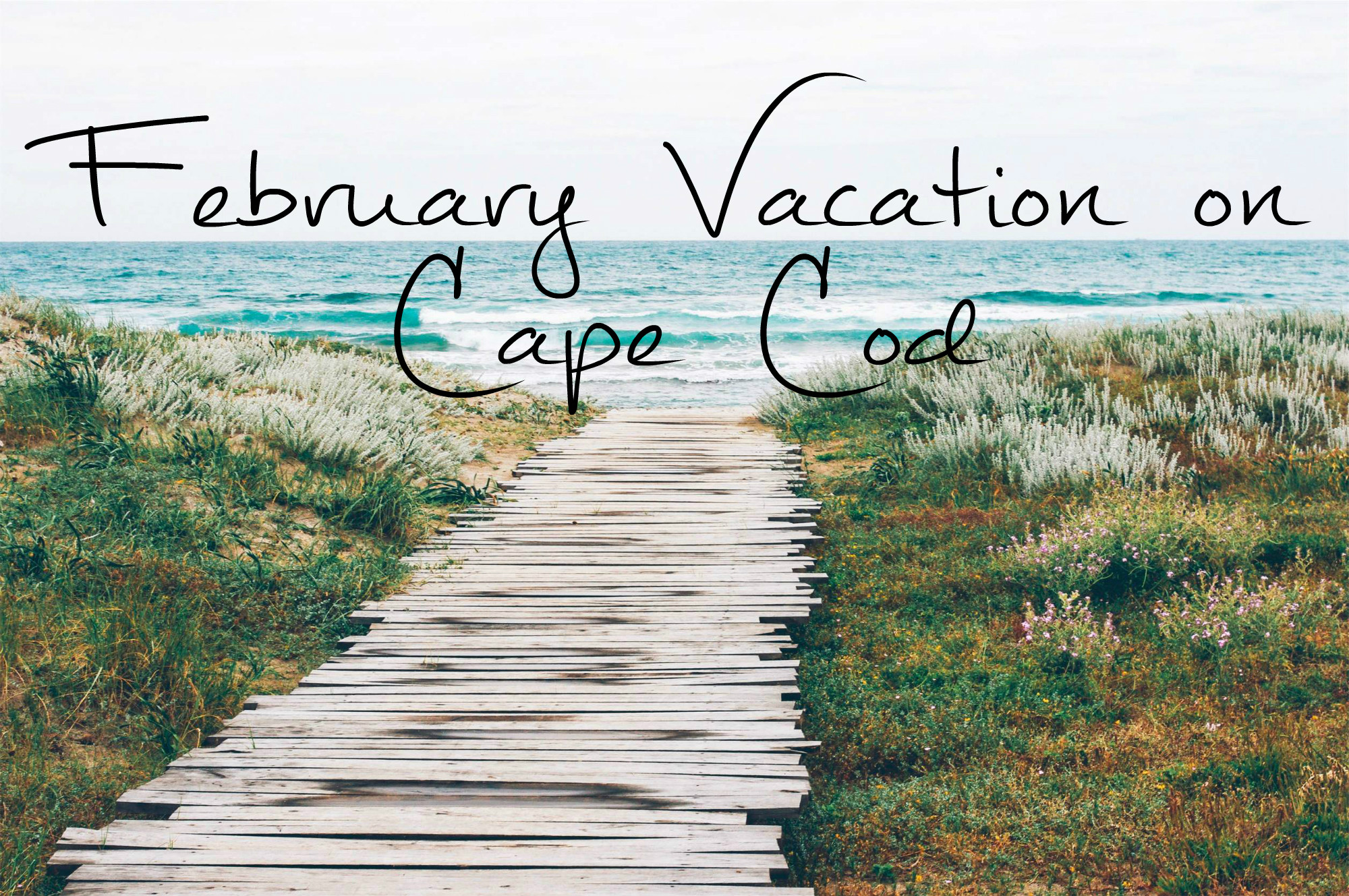 February Vacation on Cape Cod