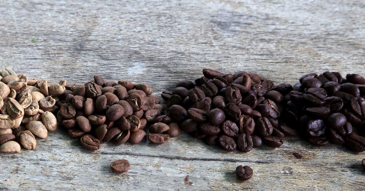 The Best Coffee Shops Across Massachusetts: Your Guide to the Perfect ...