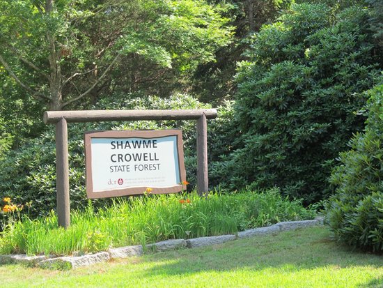 5 Cape Cod Campgrounds to celebrate National Camping Month - Robert ...