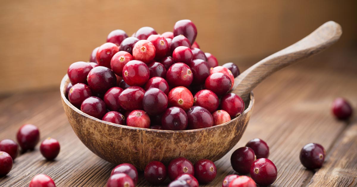 Massachusetts Cranberry Month: Own your own Bog! - Robert Paul ...