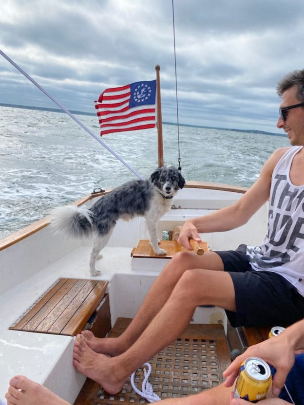 National Dog Month - Our Dog Friends - Robert Paul Properties