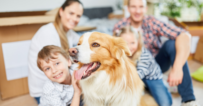 Robert Paul Properties - Cape Cod | Boston | South Coast | South Shore