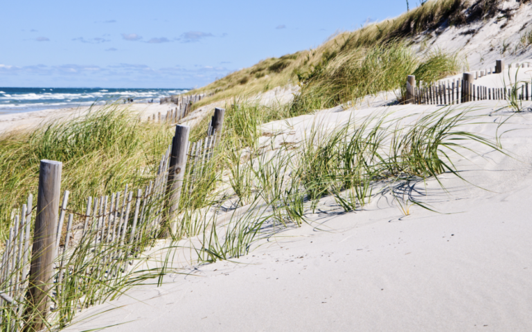 Cape Cod Visitors Bucket List: Top 10 Things To Do on Cape Cod ...